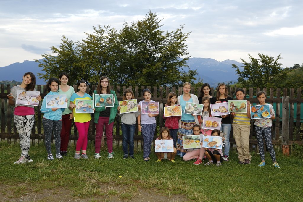 Contabil junior, part-time - București- Academia de Arte Marina ...