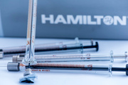 Hamilton Central Europe - Cariere, Joburi, Alumni & Perspective asupra ...