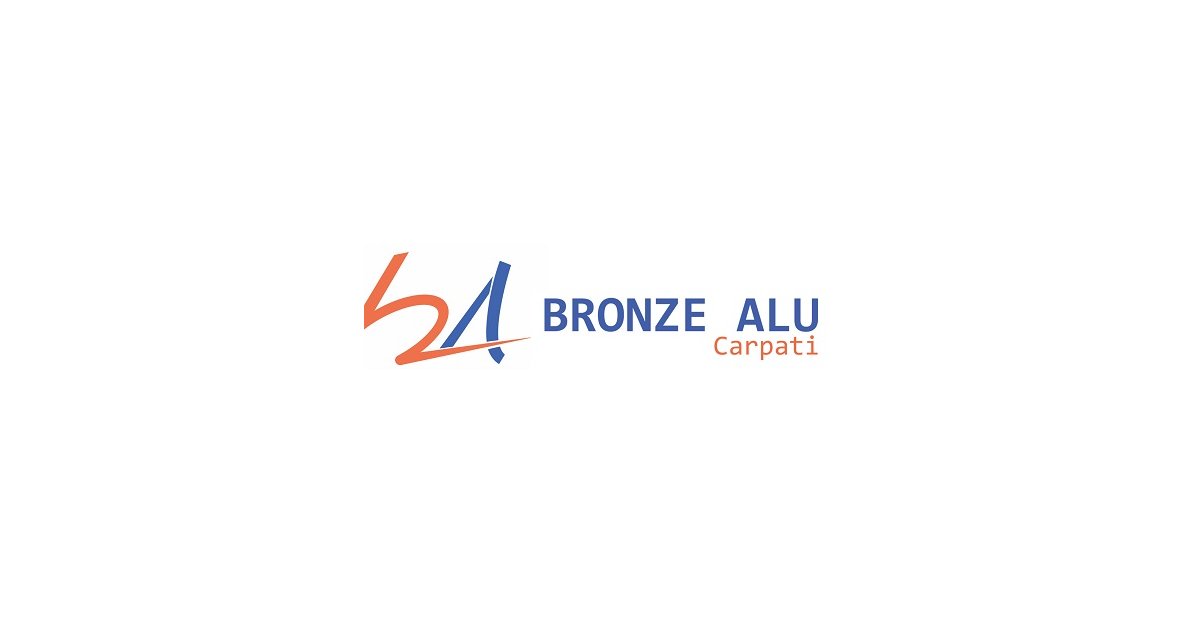 BRONZE ALU CARPATI – Karriere, Jobs, Alumni und Unternehmenseinblicke ...